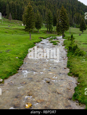 Stream flows through the meadow of forest Stock Photo - Alamy