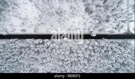 Aerial view of a strip of pine forest on the Lagoon side between ...