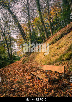 Rural Wooden Bench. Autumn Background With Beautiful Yellow Trees Stock ...