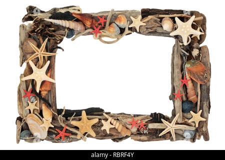 Abstract seashell and driftwood background border on beach sand with ...