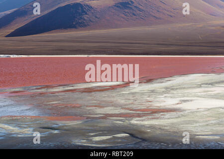 Borax and red algae at Laguna Colorada, National Park Eduardo Avaroa ...