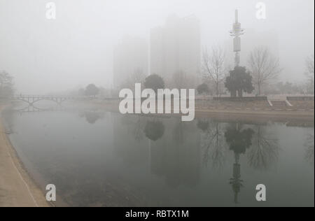 Handan, Handan, China. 12th Jan, 2019. Handan, CHINA-Heavy smog hits ...