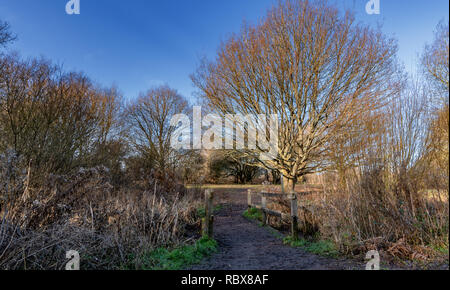 Reflections on Ditchling Common Stock Photo - Alamy