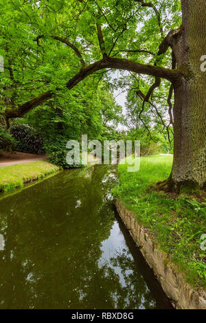 Ditch in a green grassy meadow near Hank in the Dutch national park De ...