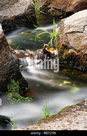 Close-up of a partially wet rock face made of two black and beige ...