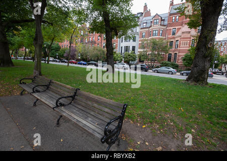 Trees on Commonwealth Avenue Mall in Boston are highlighted by the ...