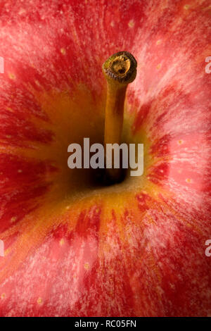 Apple and stalk Stock Photo - Alamy