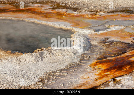Ear Spring in the Upper Geyser Basin is named for its shape. It often ...