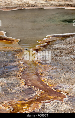 Ear Spring in the Upper Geyser Basin is named for its shape. It often ...