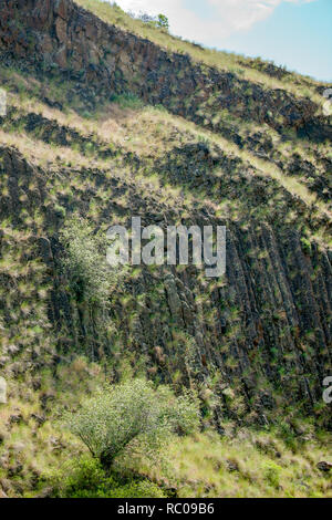 Rhyolite is an igneous rock. The structures are referred to as columnar ...