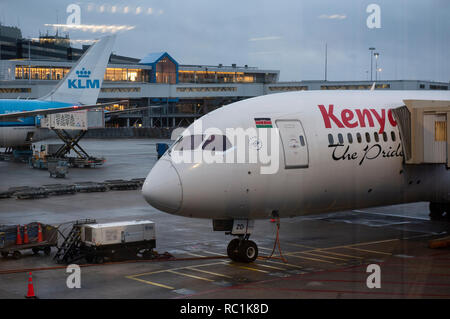 KLM, the Royal Dutch Airlines as seen in Amsterdam, Schiphol Airport in ...