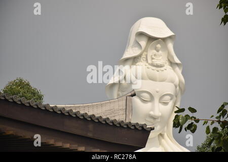 The bronze Guanyin statue inside Tsz Shan buddhist monastery in Tai Po, Hong Kong - China Stock ...