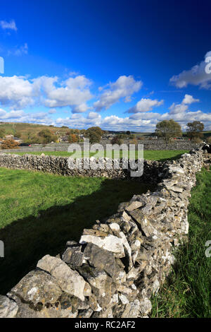 View over the Drystone walls around Littondale, Litton village, Peak ...