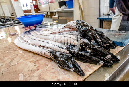 Black scabbard fish (aphanopus carbo) prepared for sale on ice at a ...