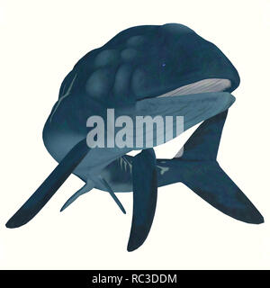 Leedsichthys Fish on White Stock Photo - Alamy