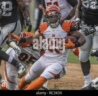Cincinnati Bengals running back Giovani Bernard (25) prior to an NFL ...