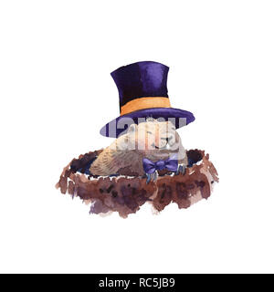 Happy Groundhog Day - hand drawn watercolor illustration groundhog card ...