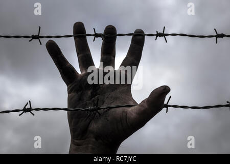 Hands on barb wire Stock Photo - Alamy