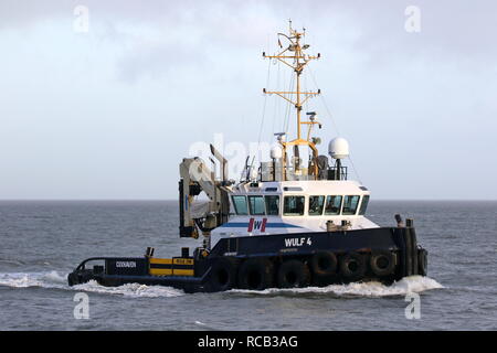 tugboat WULF 5 on the river Elbe Stock Photo - Alamy