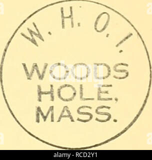 . Diagram of a young Physonect Colony Stock Photo - Alamy
