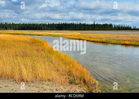 Salt Plains water channel, Wood Buffalo National Park, Alberta, Canada ...