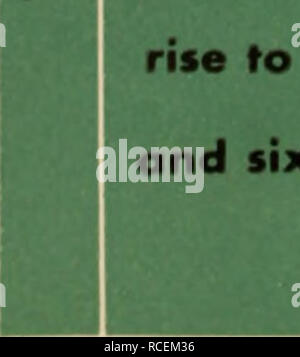 . THECODONTIA Ancestors of all dinosaurs Stock Photo - Alamy