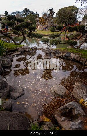 Coins in a small japanese pond with reflections Stock Photo - Alamy