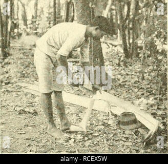 . Elements of Philippine agriculture. Agriculture. FIBER PLANTS 139 ...