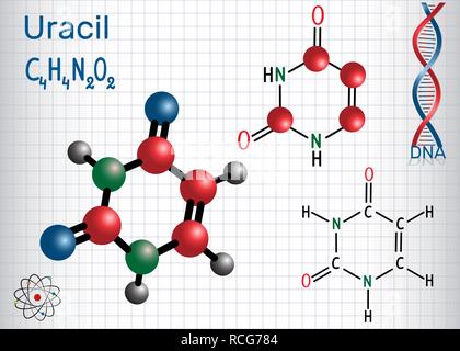 Uracil (U) - pyrimidine nucleobase in the nucleic acid of RNA ...