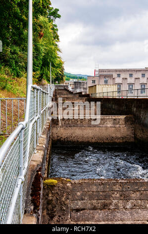 Several of the 34 separate pools of the famous visitor attraction ...