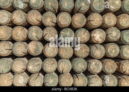 stack of round wooden pillars, cross section, front view Stock Photo ...