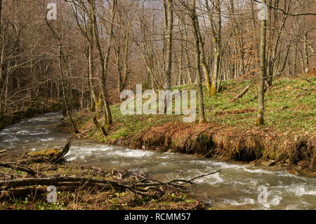Bieszczady National Park - Terebowiec stream valley. Poland Stock Photo ...
