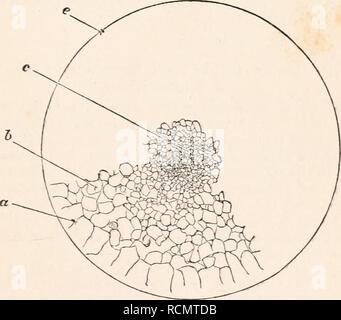 . The elements of embryology. Embryology; Embryology. I] SEGMENTATION ...