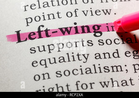 Fake Dictionary, Dictionary definition of the word Left-wing. including ...