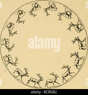 The zoopraxiscope - Horse galloping Stock Photo - Alamy