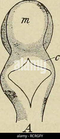 This manual details the development of the human body through ...