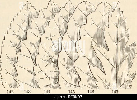 The elements of botany for beginners and for schools . ed, and the ...