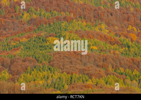 Amazing autumn colors in the Bieszczady Mountains. Poland Stock Photo ...