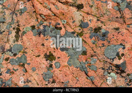 Precambrian shield granite with an orange igneous dyke and lichens ...