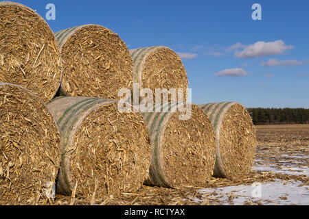 The rolled cornstalk bales on the Midwestern farmland Stock Photo - Alamy
