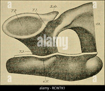 . The development of the chick; an introduction to embryology . ear the ...