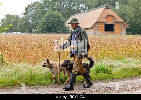Sheep pen near Wilsede, Luneburg Heath, Lower Saxony Stock Photo - Alamy