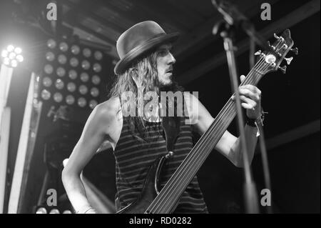 Three daft monkeys on stage with Roy Harter at The Bearded Theory ...