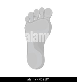 foot,leg,trace,skin,toes,barefoot,woman,beautiful,smooth,care,body,part ...