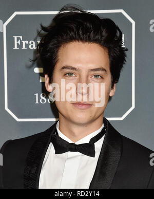 Cole Sprouse arrives at the 24th annual Critics' Choice Awards on ...
