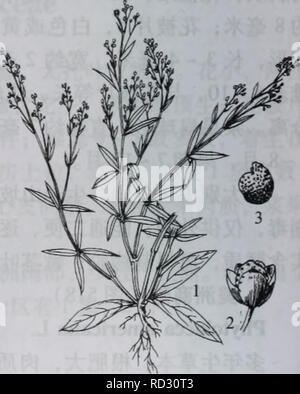 . da bie shan zhi wu zhi. botany. åä¸ãèèç¦¾æCyperaceae 183 å ·ç-ååæãç ...