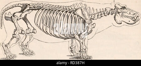 . The cyclopædia of anatomy and physiology. Anatomy; Physiology ...