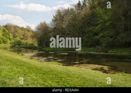 Riverbank River Lathkill Dale, Derbyshire Peak District National Park ...