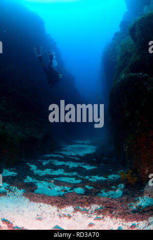 Scuba Diving n Tenerife - Canary Islands Stock Photo - Alamy