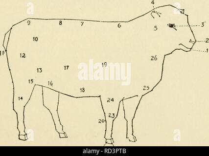 . Elementary agriculture. Agriculture. CATTLE (Chapter 2). Fig. 121 ...